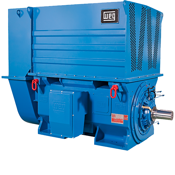 AC&DC WEG Motor